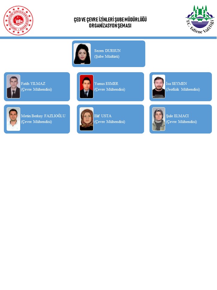 Organizasyon Şeması